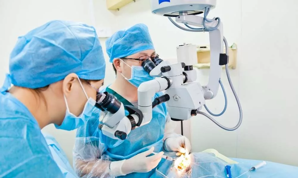 Minimally Invasive Spine Surgery vs. Traditional Open Surgery: A ...