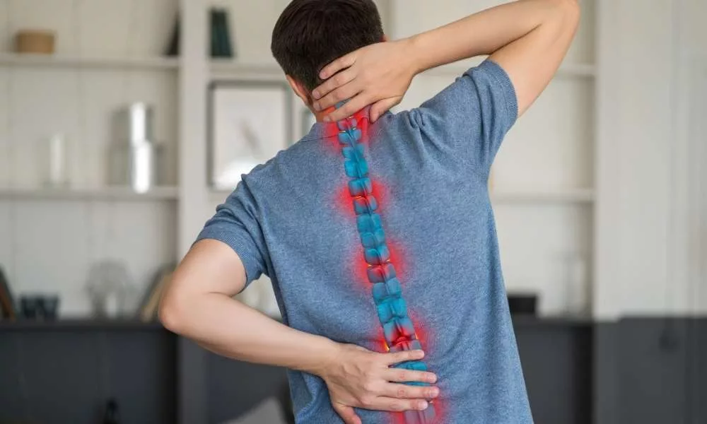 Syringomyelia vs. Syringobulbia: Understanding the Differences - USA ...